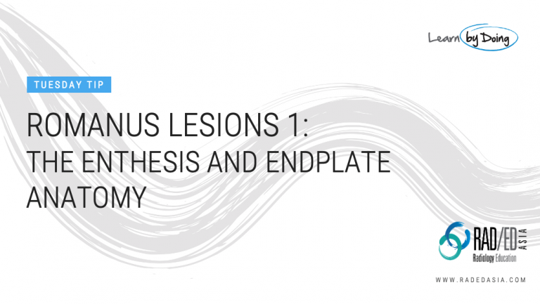 ROMANUS LESIONS ANATOMY OF THE ENDPLATE AND ENTHESIS - Radiology ...